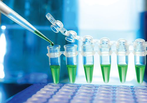 PCR product – Golden Bridgen Inc